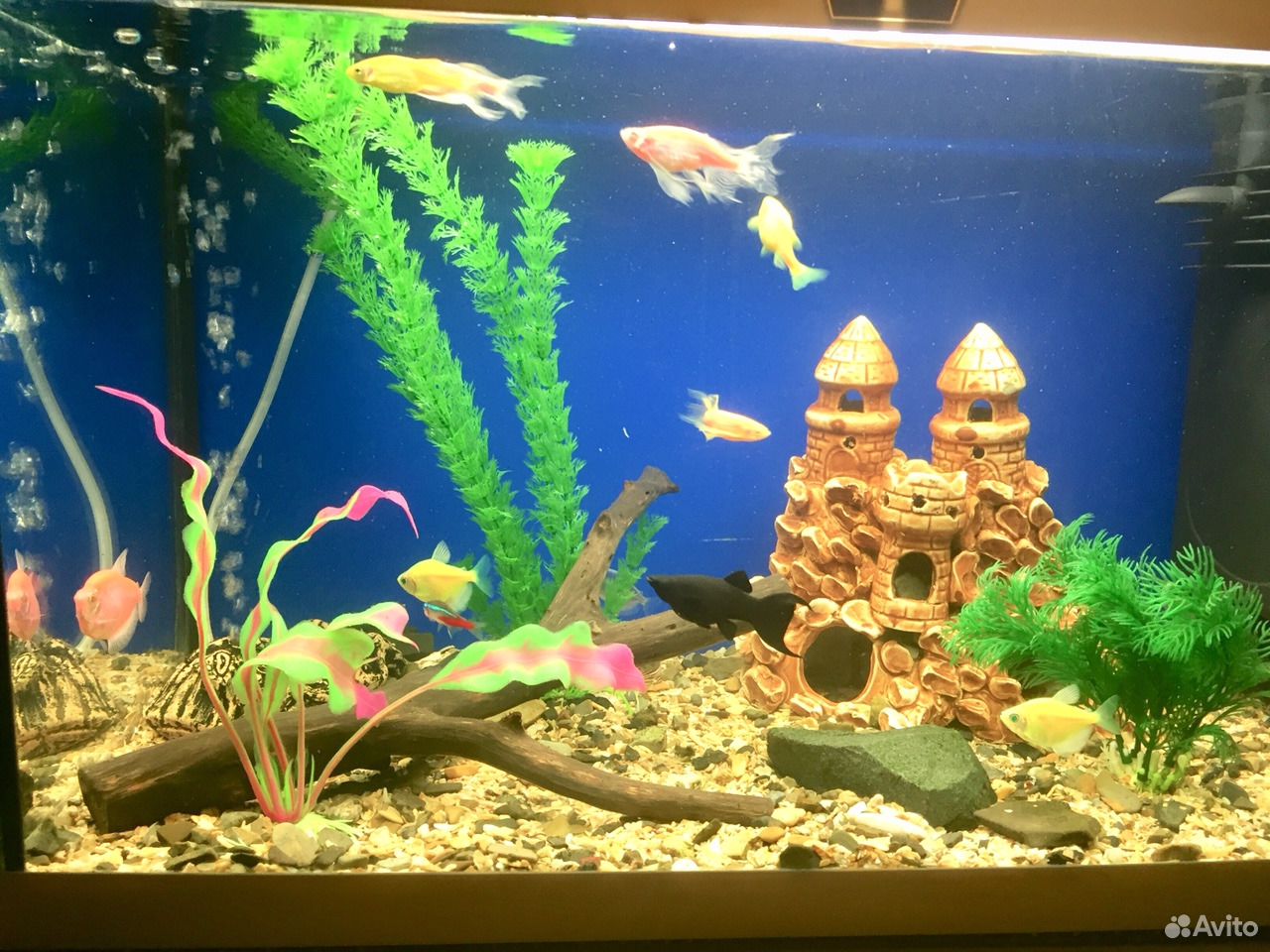 Аквариум Ферпласт Аквариум Capri белый, (Ferplast)