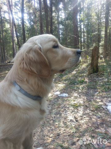 Совладение