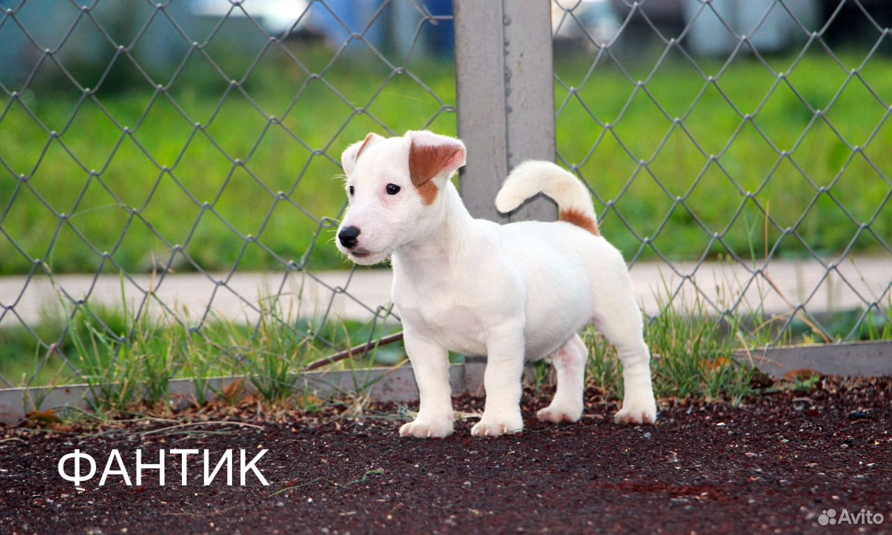 Обаятельный мальчик