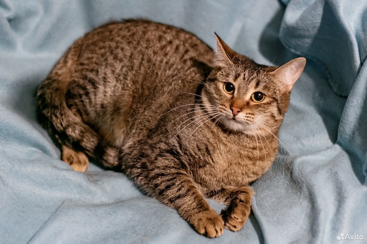 Мягонькая Кислинка, 1 год