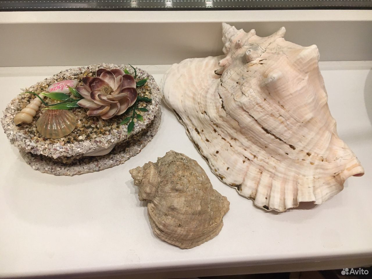 Ракушки и шкатулка