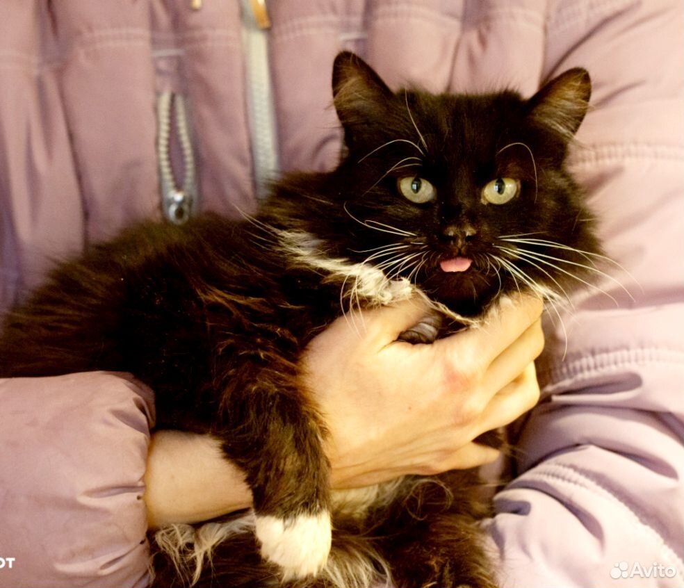 Малышка Джеки ждёт именно Вас