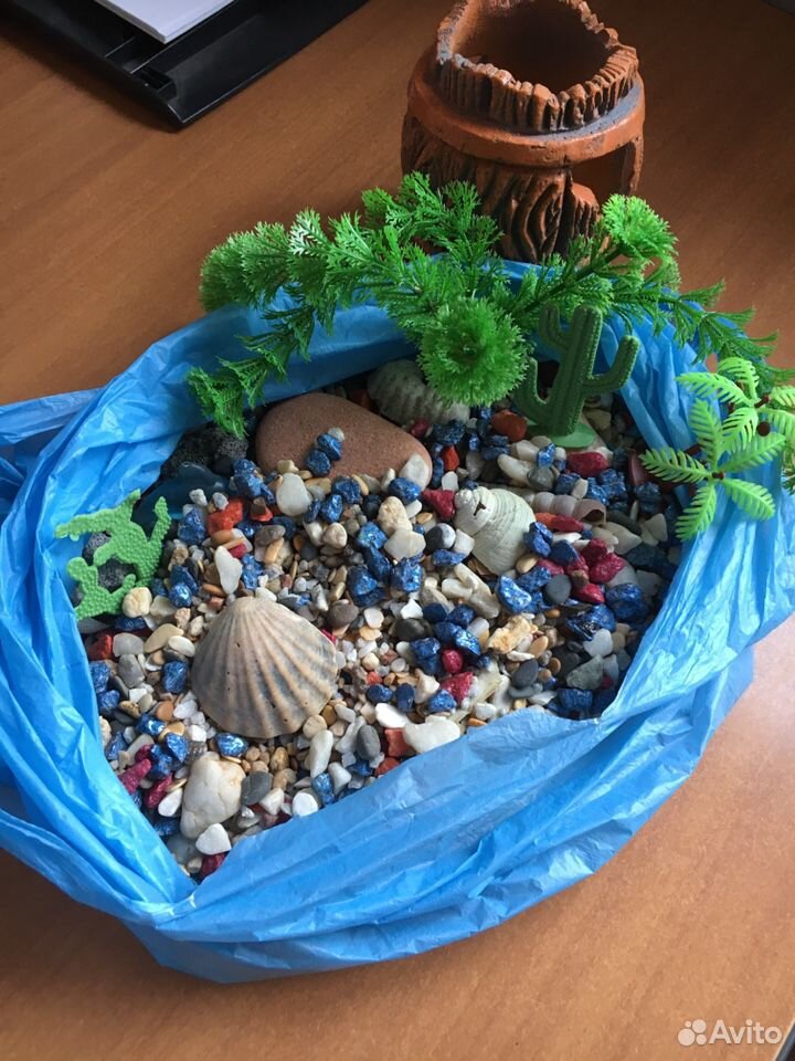 В аквариум
