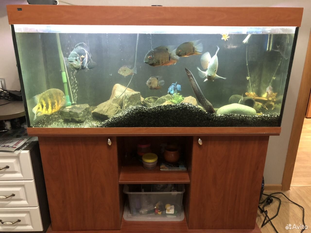 Аквариум 320л со всем содержимым
