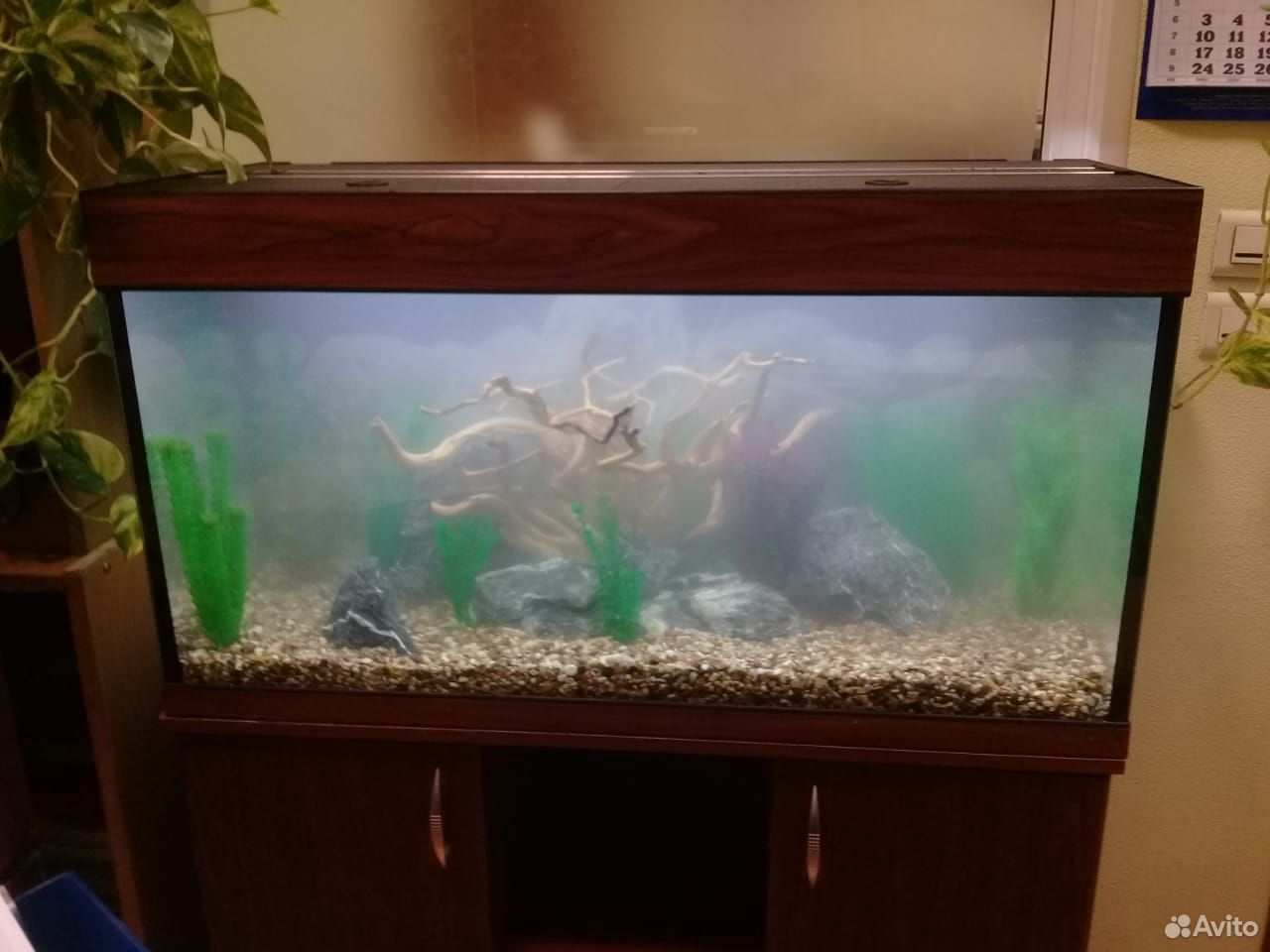 Аквариум