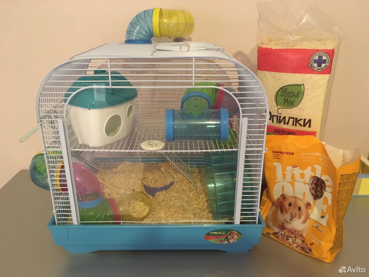 Джунгарские хомяки