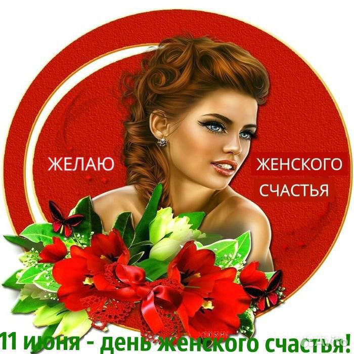 Возьму в дар щенка ши тцу