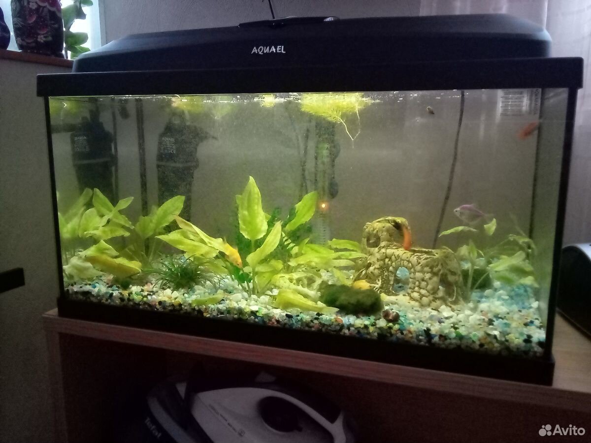 Аквариум 54 литра