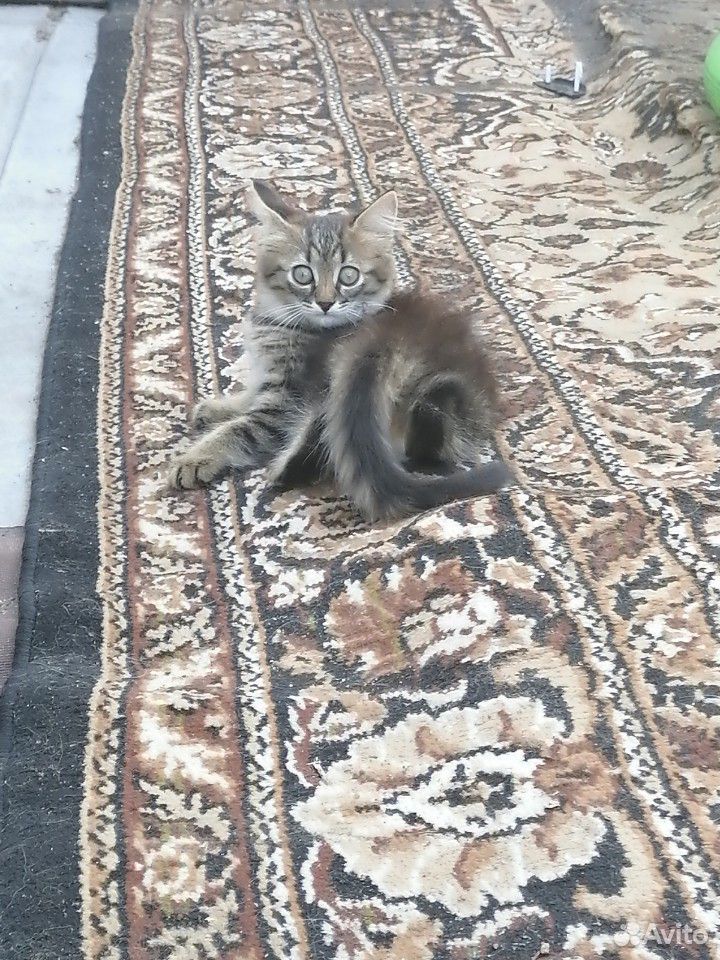 Красивая милая девочка ищет себе друга