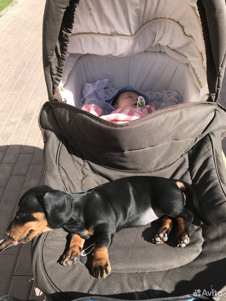 Очаровательный мальчуган