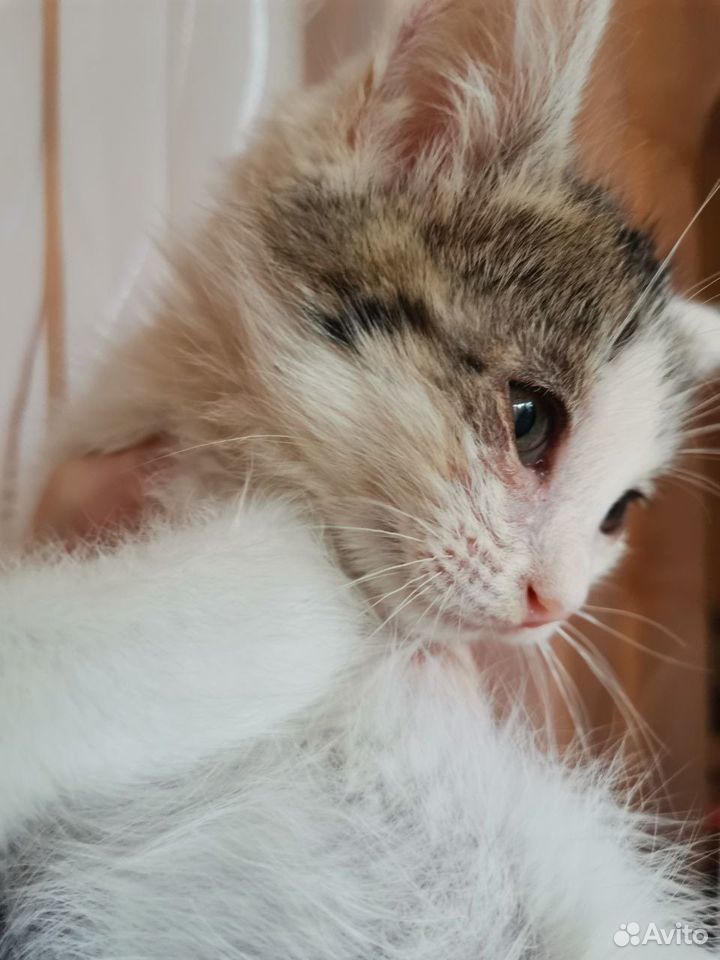 Отдадим малышку в добрые руки