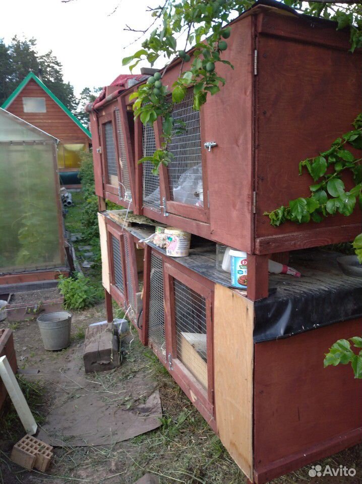 Мини ферма с кроликами