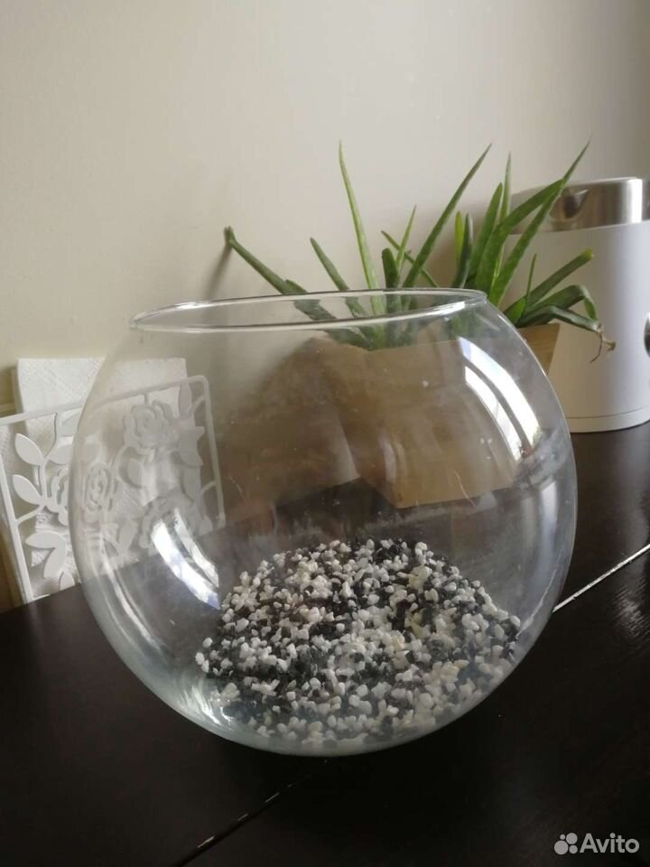 Флорариум, аквариум 1.8 л с грунтом