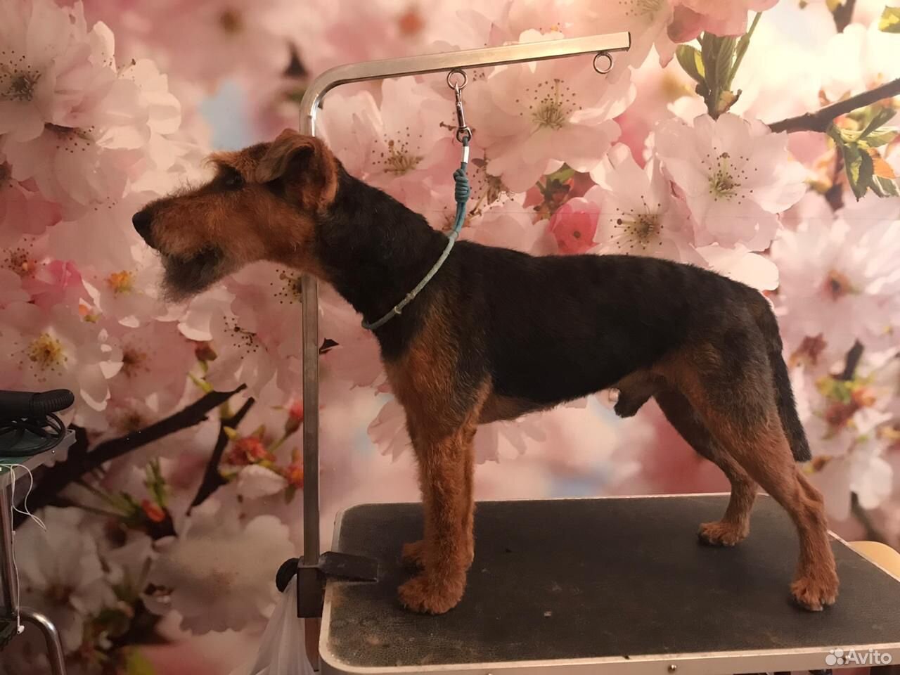 Предлагается для вязки