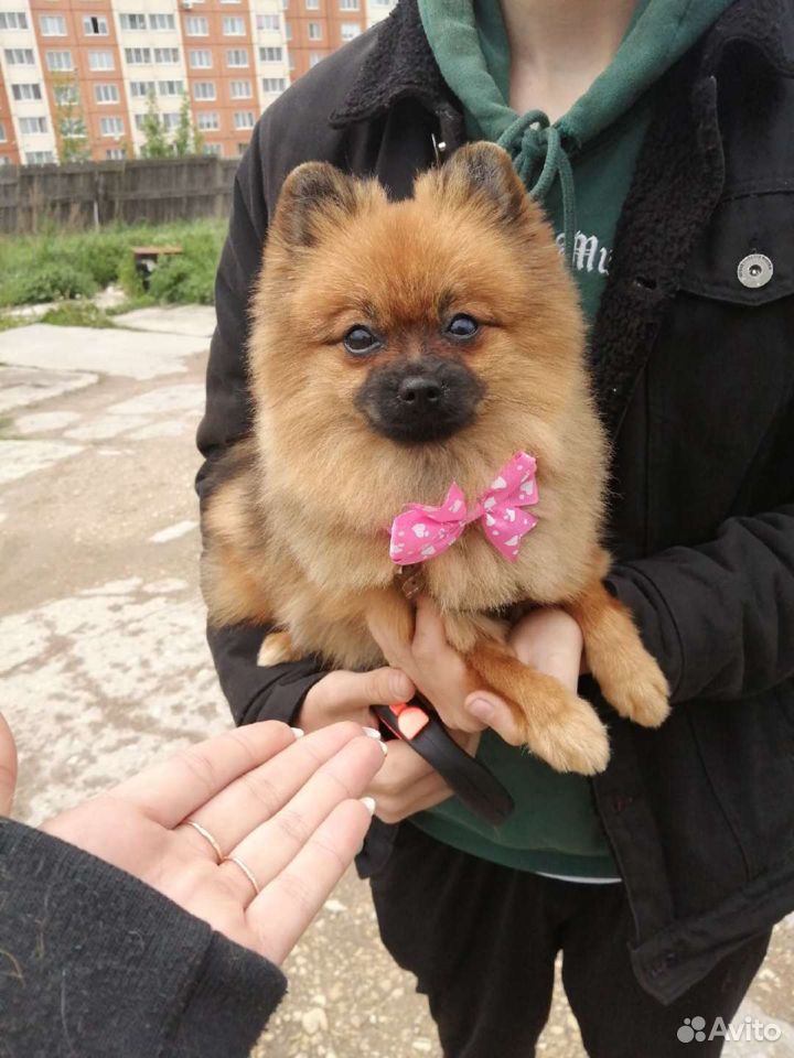 Девочка для вязки