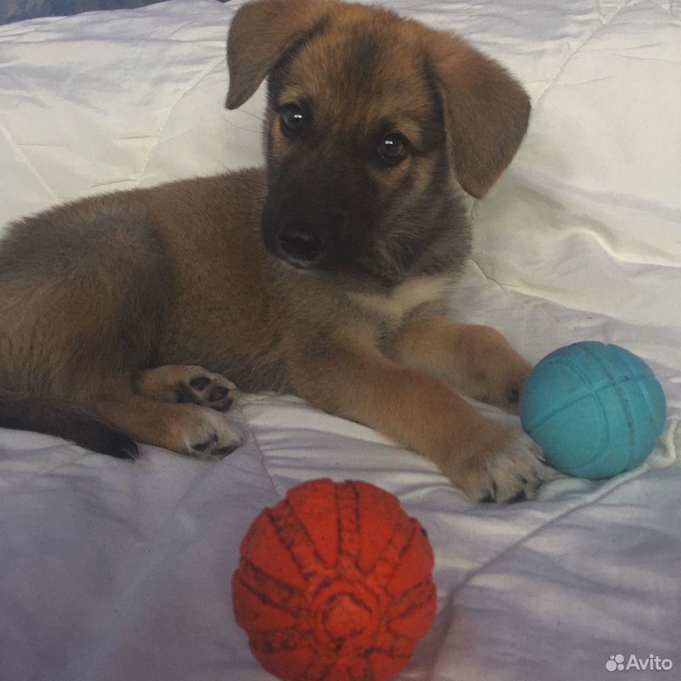 Мальчишка очень хочет найти свой дом