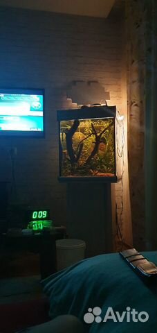 Аквариум