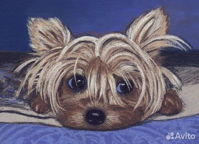 Йоркширский терьер мини