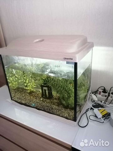 Аквариум и оборудование