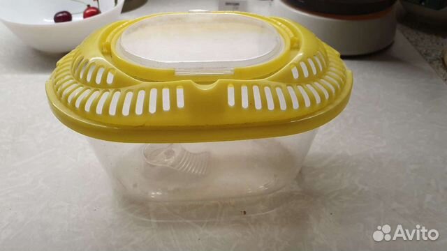 Маленький аквариум (черепашник)