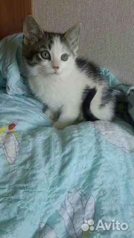 Очень ласковый малыш плачет один