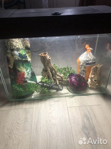 Аквариум