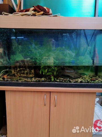 Аквариум