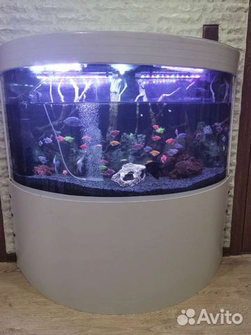 Аквариум