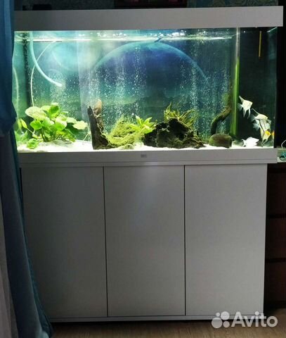 Аквариум Juwel Rio 350