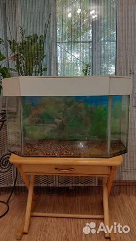 Аквариум