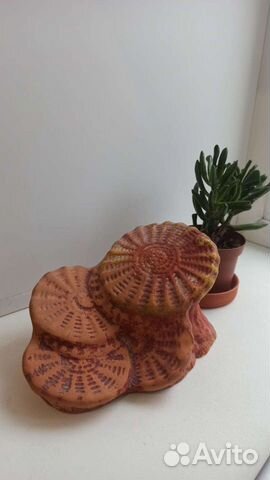 Мостик для черепахи