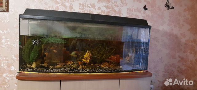 Аквариум 150л