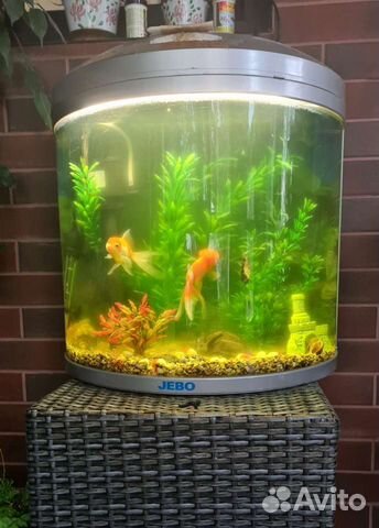 Аквариум с рыбкамии всем необходимым
