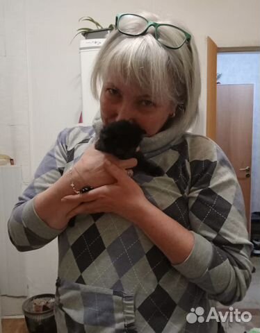 Котенок Чуча