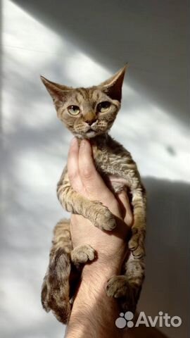 Дюймовочка