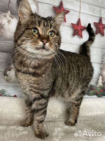 Вася,Василек