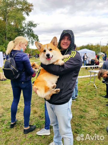 Кабель на вязку