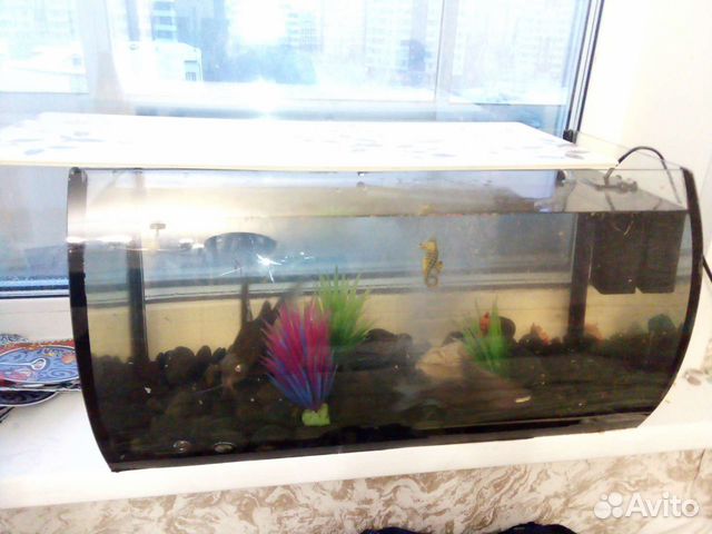 Аквариум с рыбками и фильтром