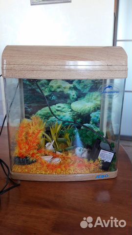Аквариум