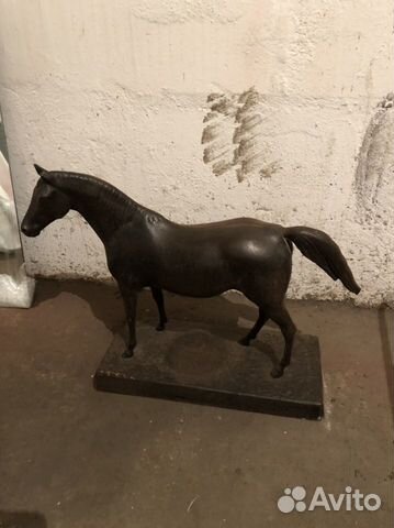 Скаковой жеребец Мидльтон