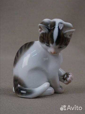 Котенок Германия