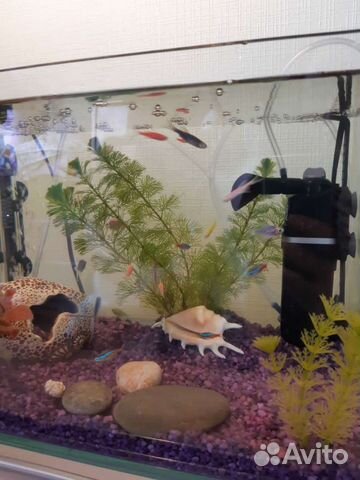 Готовый акввриум