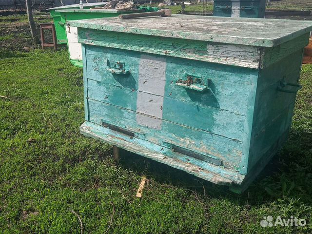 Продам пчелосемьи, засев 4 рамки,пчёл на 10 рамках