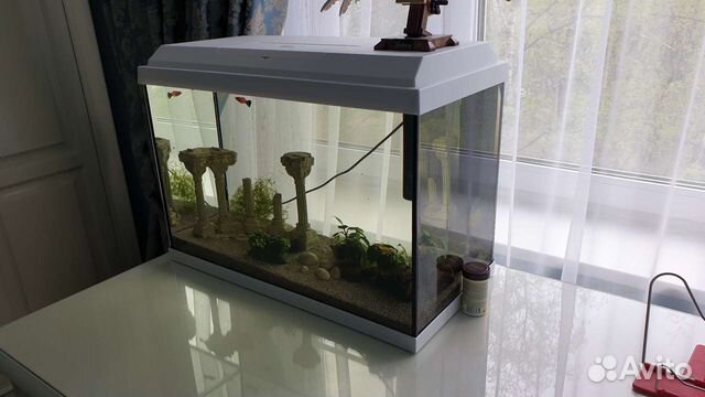 Аквариум juwel primo LED 70 л белый