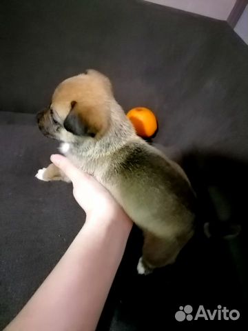 Мини мальчик