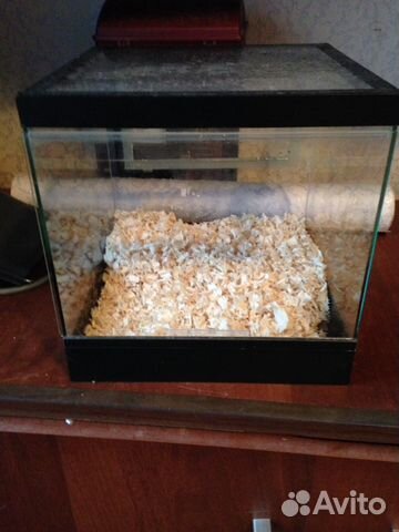 Террариум 25*25*25
