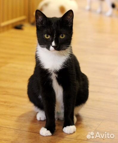 Карма 2года