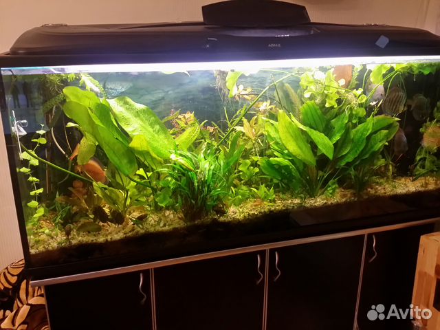 Аквариум на 450л 1500х500х600 (полный комплект)