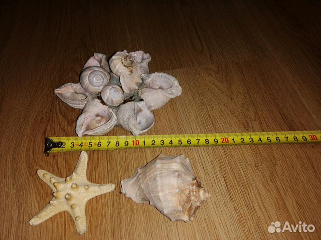 Декор в аквариум