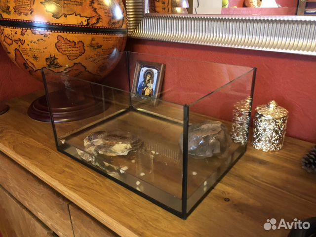 Морская черепашка